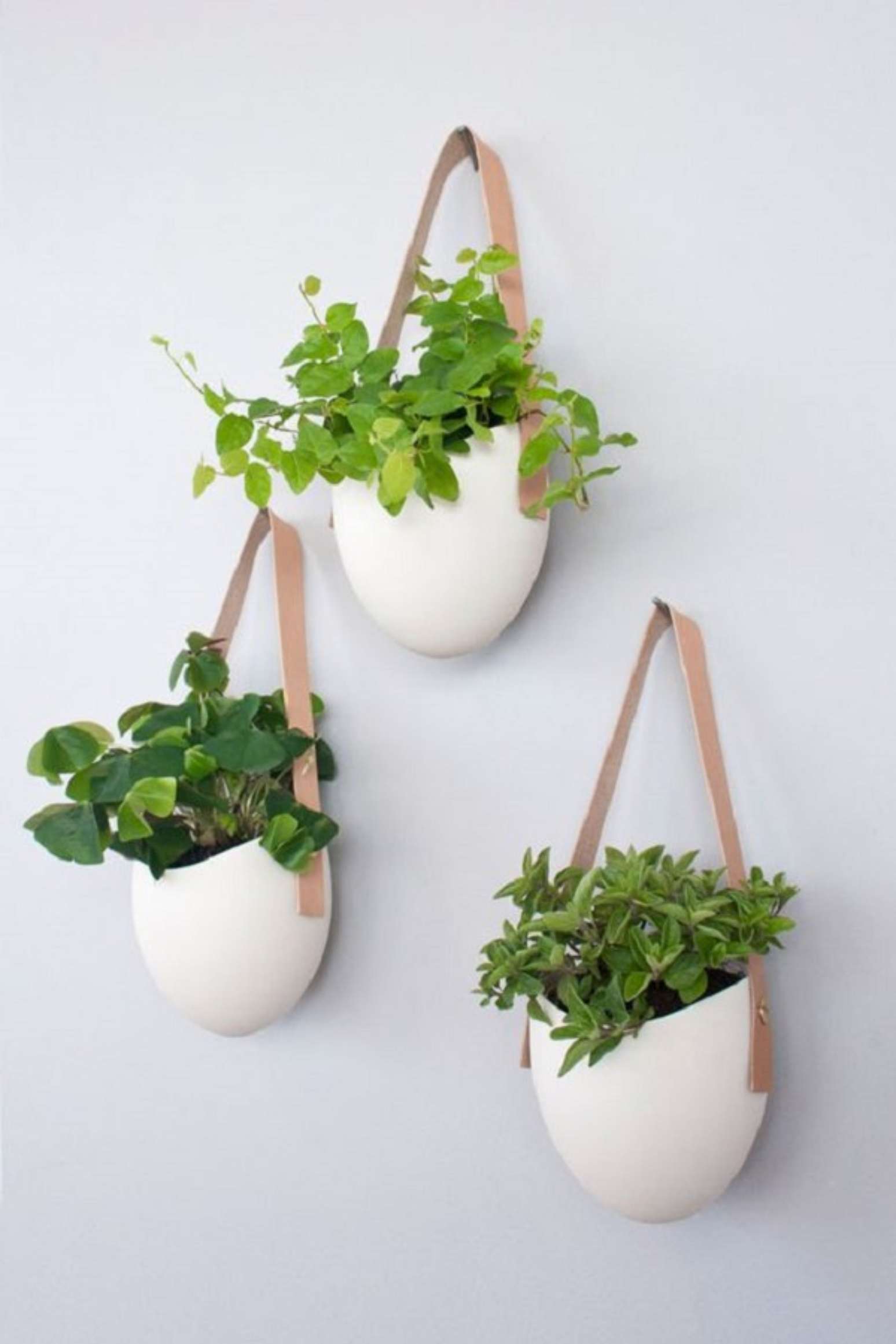 Cachepot Para Plantas: +60 Modelos Para Plantas Grandes e Pequenas