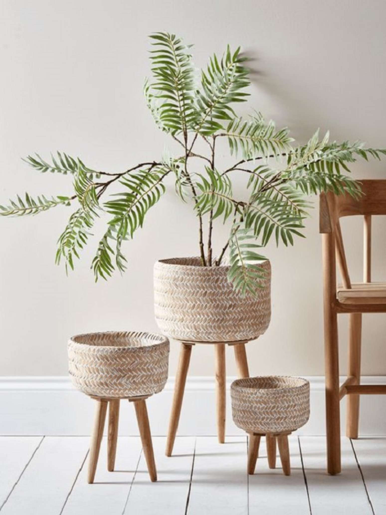 Cachepot Para Plantas: +60 Modelos Para Plantas Grandes e Pequenas
