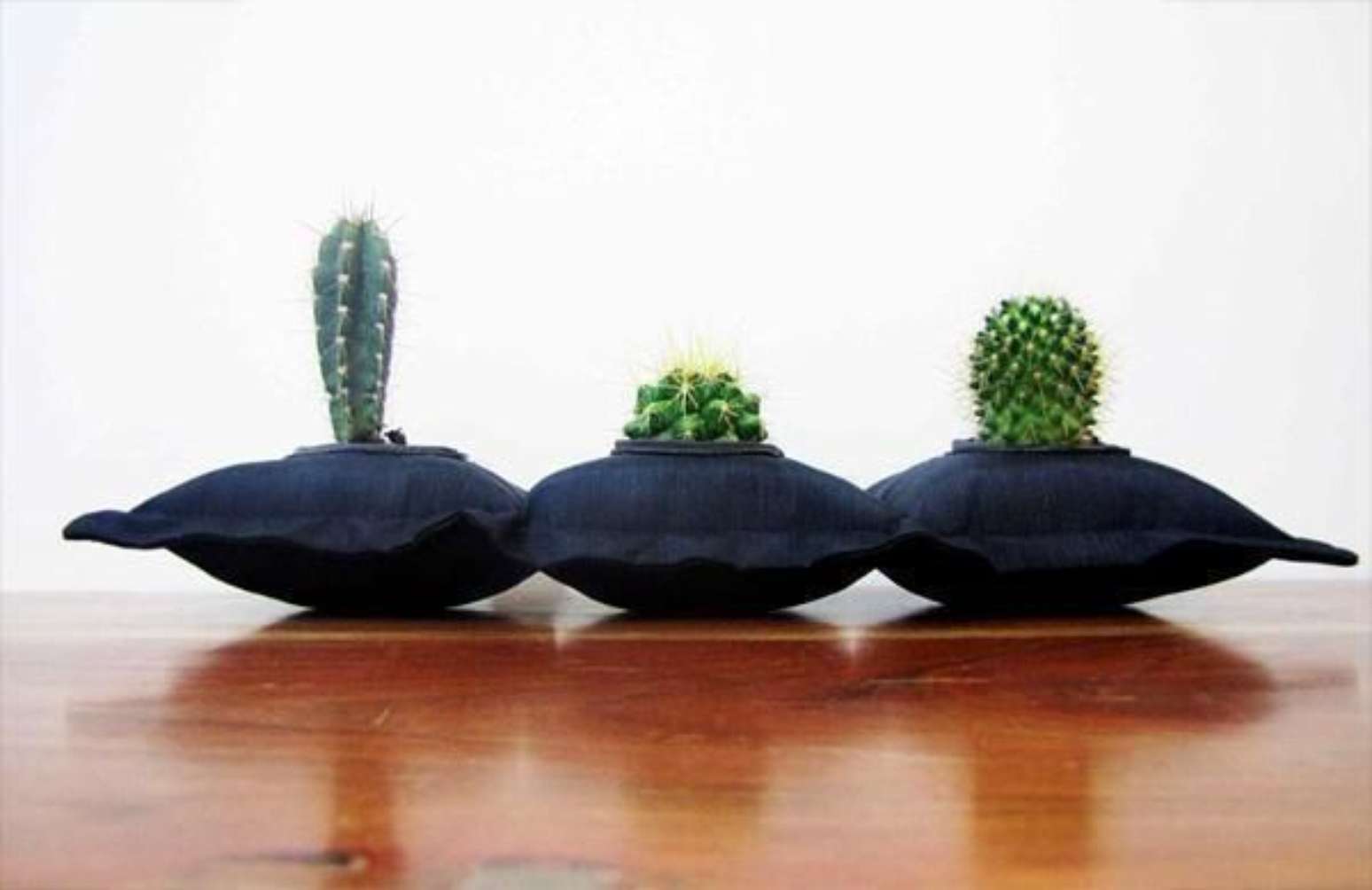 Cachepot Para Plantas: +60 Modelos Para Plantas Grandes e Pequenas