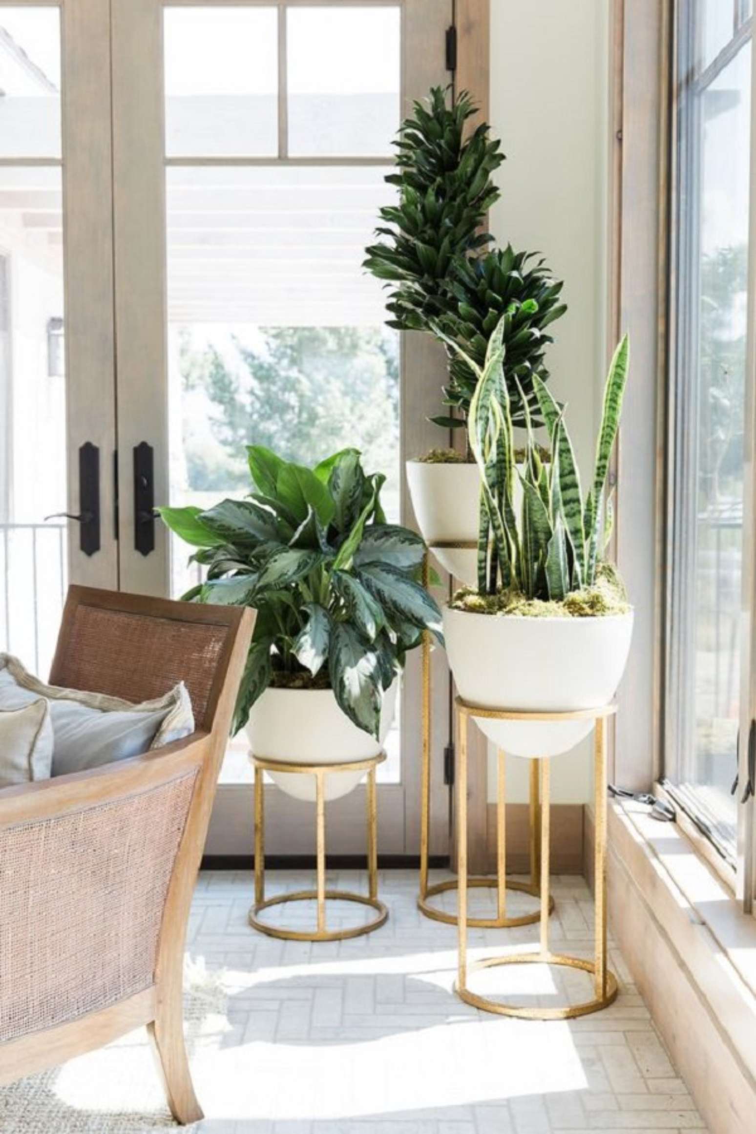 Cachepot Para Plantas: +60 Modelos Para Plantas Grandes e Pequenas