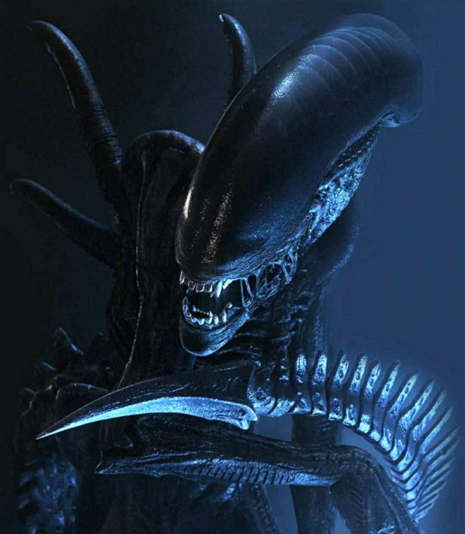 Novo "Alien" tem primeira imagem divulgada