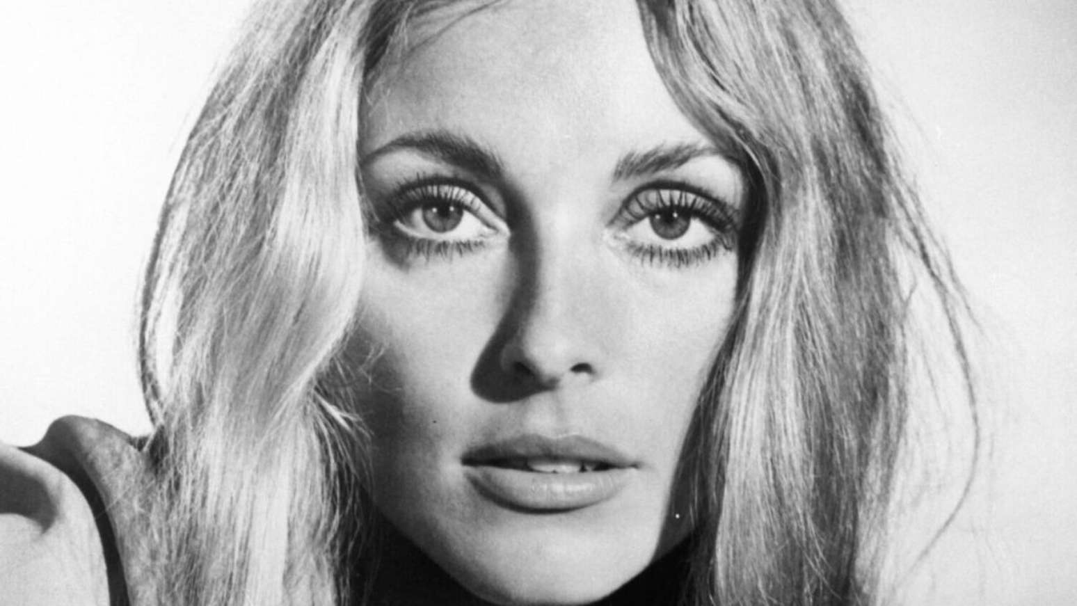 Sharon Tate: a carreira da atriz que teve sua vida interrompida pela ...