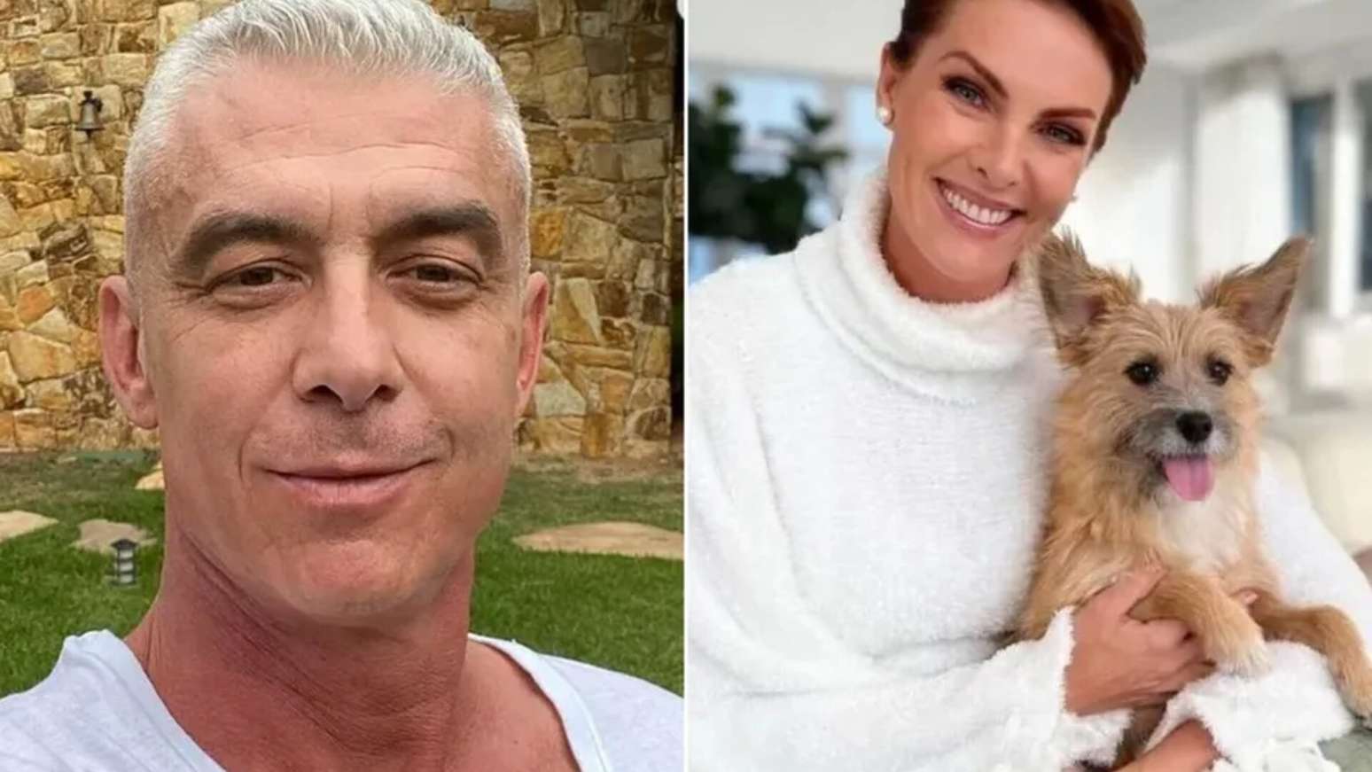 Fãs resgatam comentário de Alexandre sobre cachorro de Ana Hickmann ...