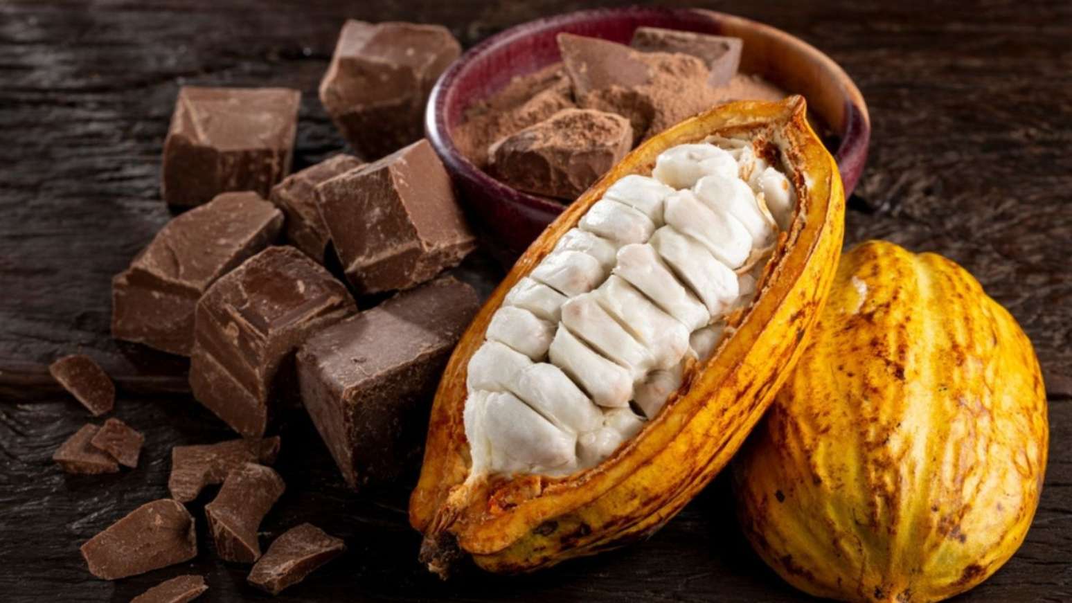 Dia do Cacau: entenda como fruta vira chocolate e seus benefícios
