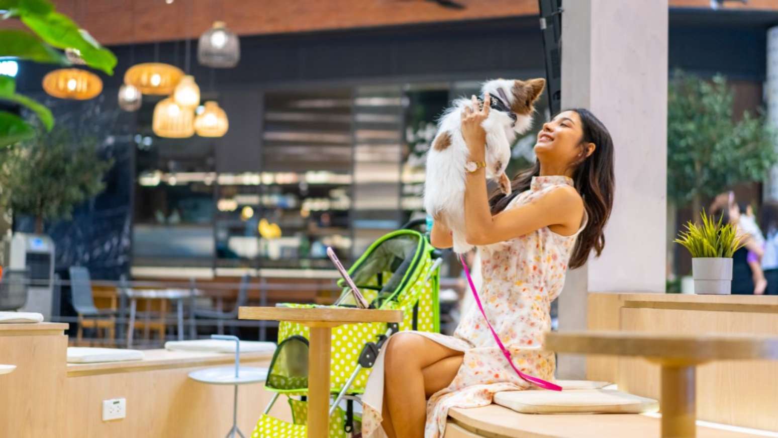 O que torna um local "pet friendly"? Entenda