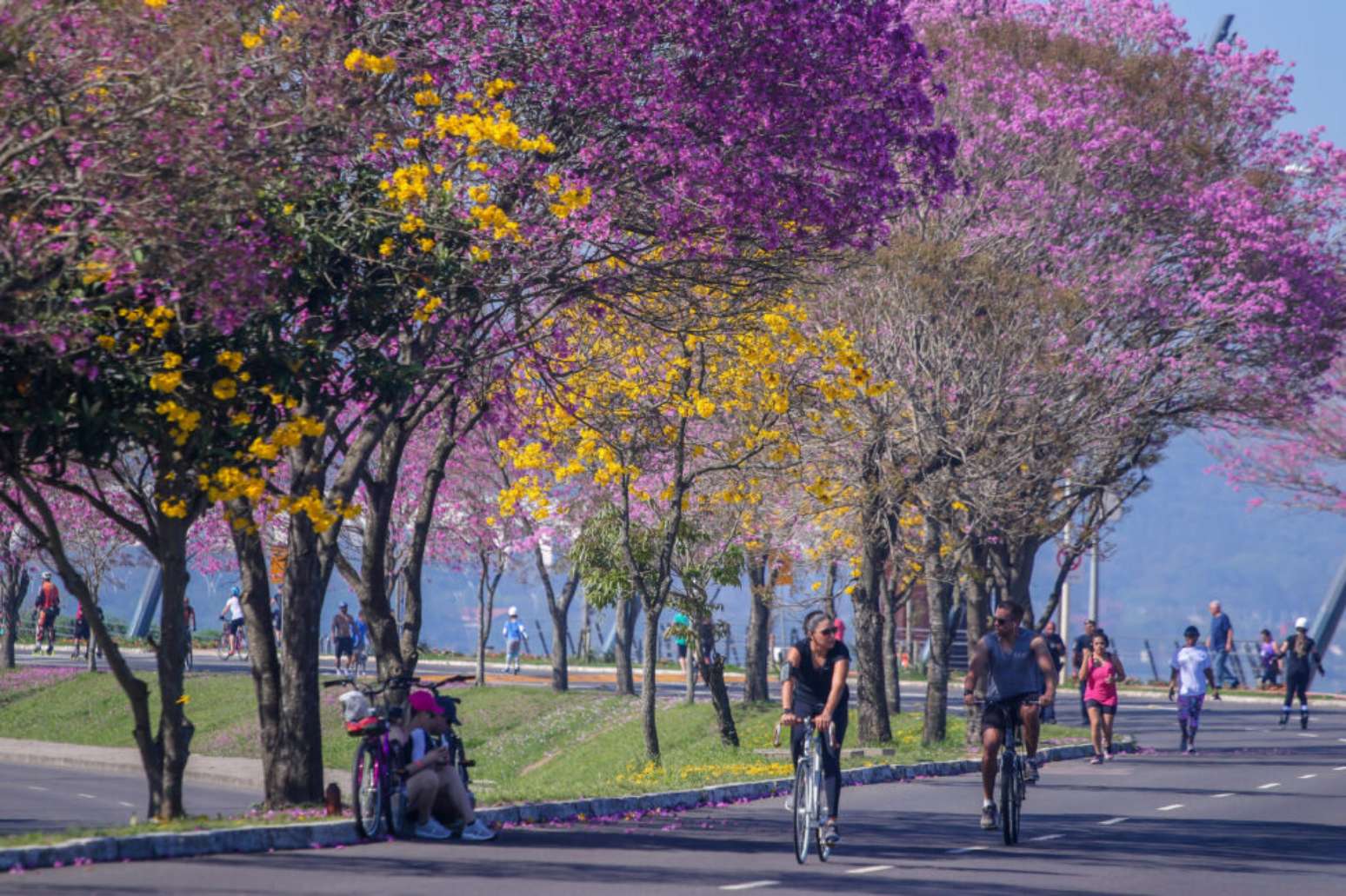 Primavera chegou! Saiba como será o tempo na nova estação