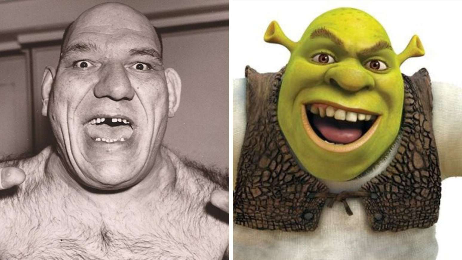 Esse é o homem que inspirou o visual de Shrek: Ele é dono de uma ...