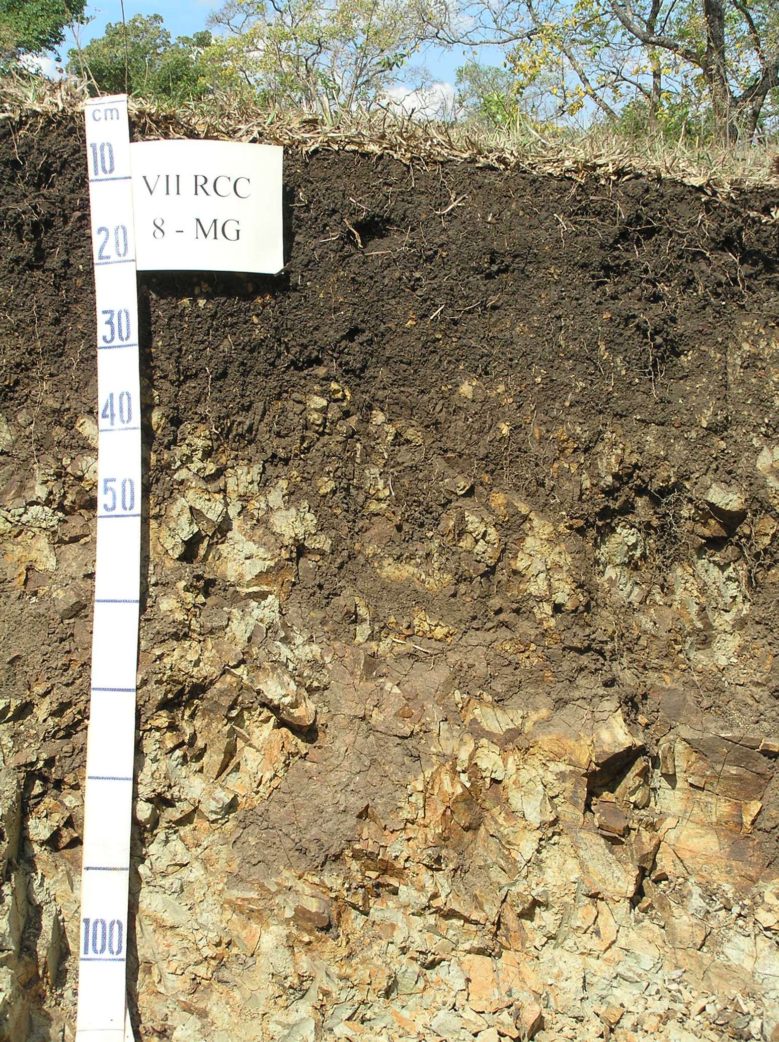 Tipos de solo: principais características e diferenças