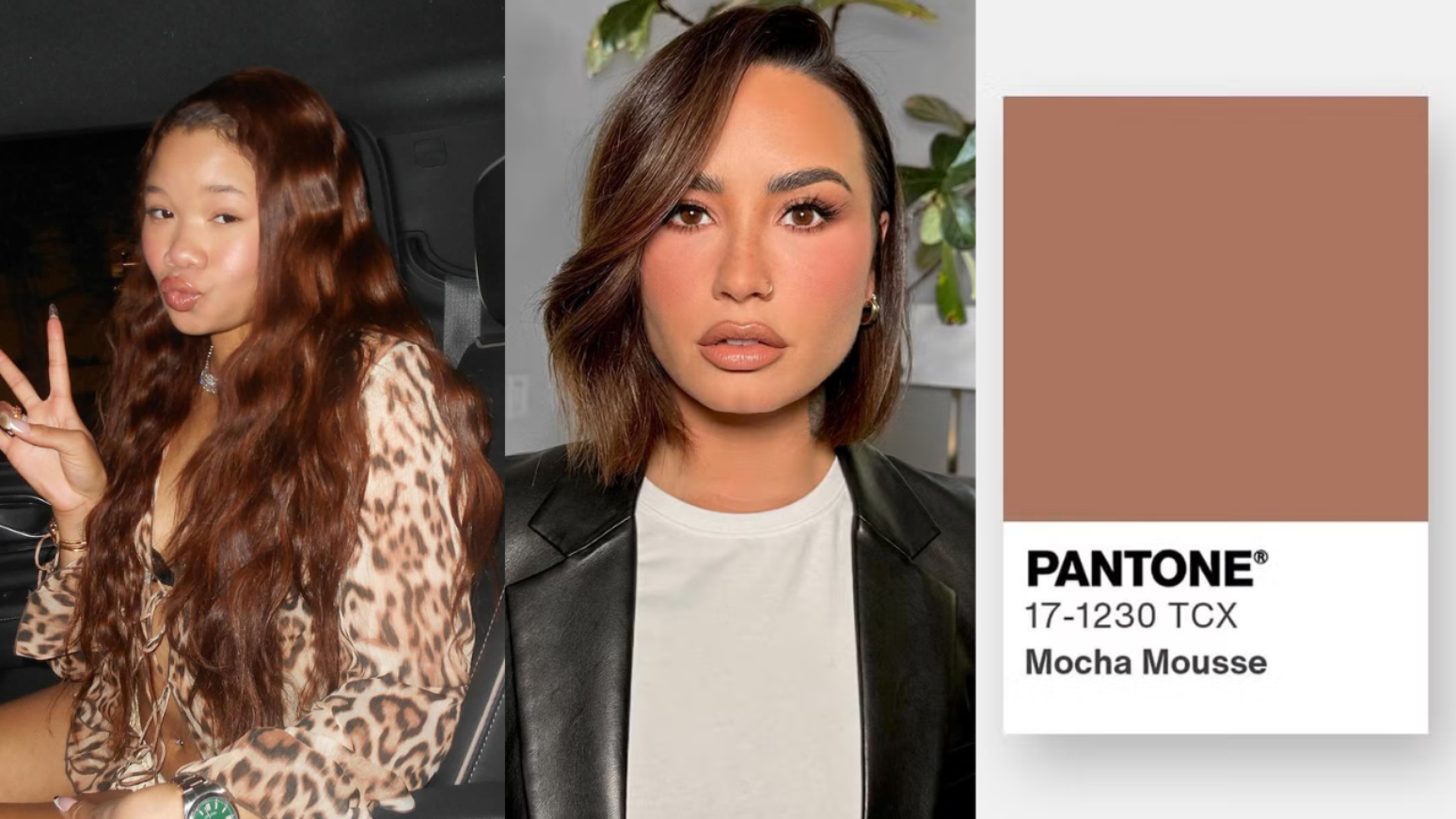 Saiba como usar o Marrom Mocha Mousse, a Cor do Ano 2025