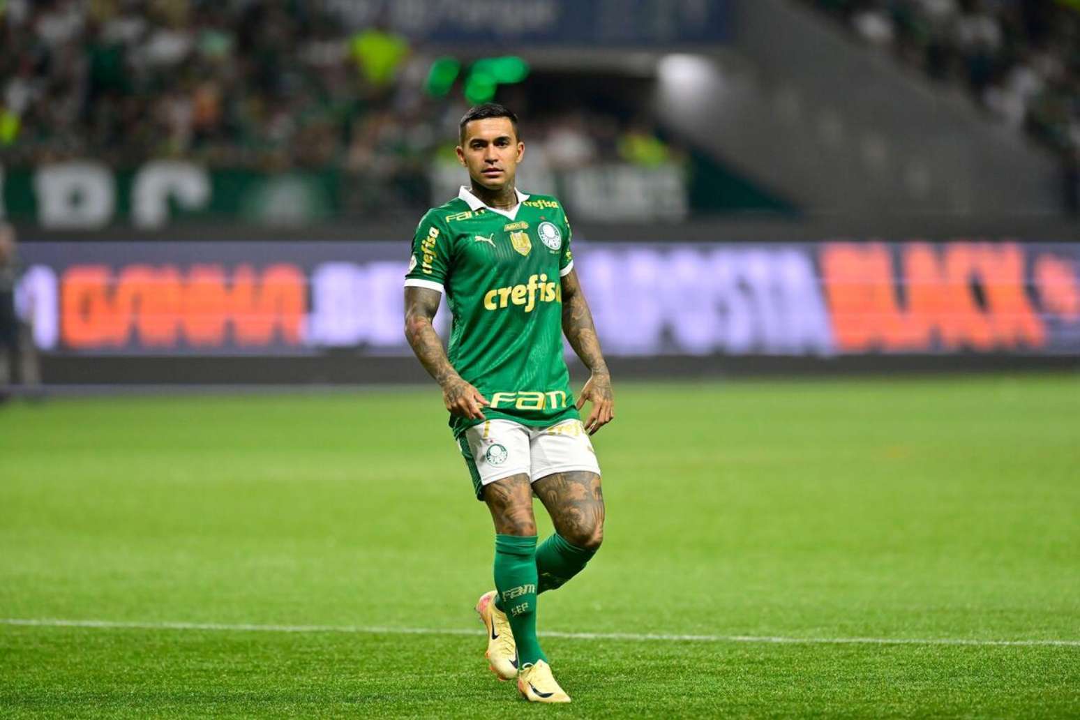 Palpite Palmeiras x Fluminense - Campeonato Brasileiro - 8/12/2024