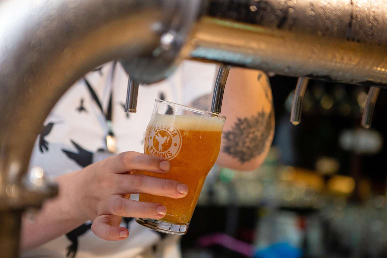 Conheça a cerveja artesanal eleita a melhor do Brasil em 2024