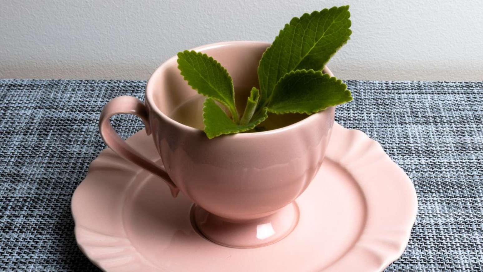 Chá de boldo: saiba como preparar e quais são os benefícios