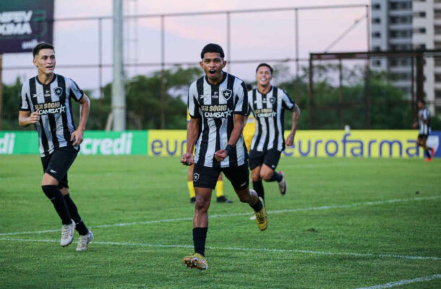 Botafogo x Ponte Preta na Copinha: onde assistir e escalações