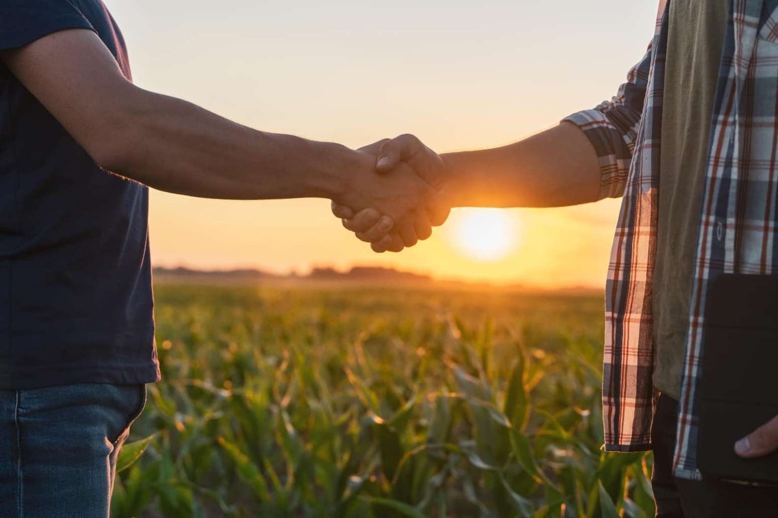 Syngenta e Olfar Agro fecham parceria para apoiar agricultores