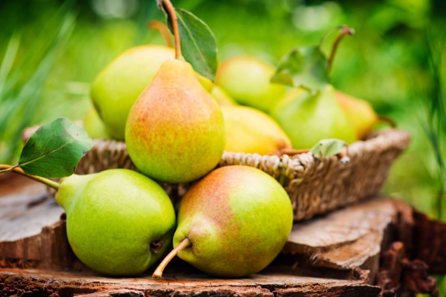 5 benefícios da fruta pera para a saúde