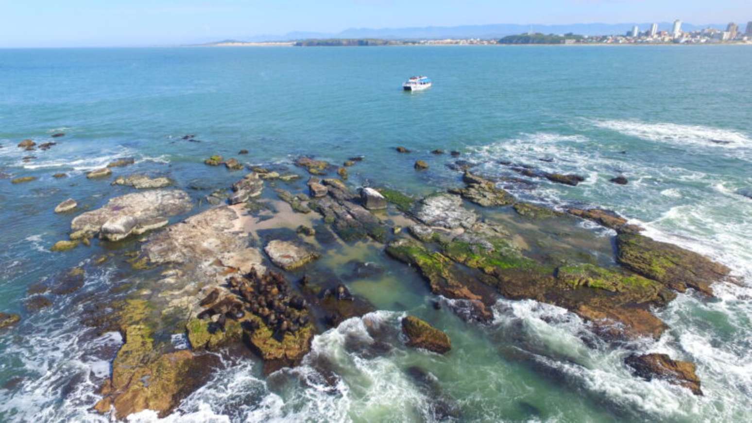 Turismo náutico será retomado na Ilha dos Lobos, em Torres