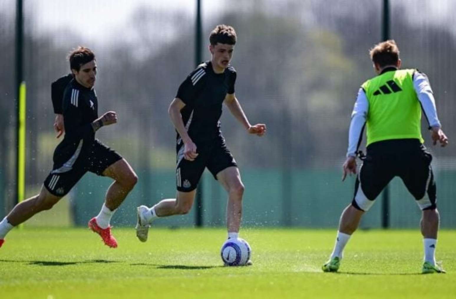 Newcastle x Crystal Palace: onde assistir, escalações e arbitragem