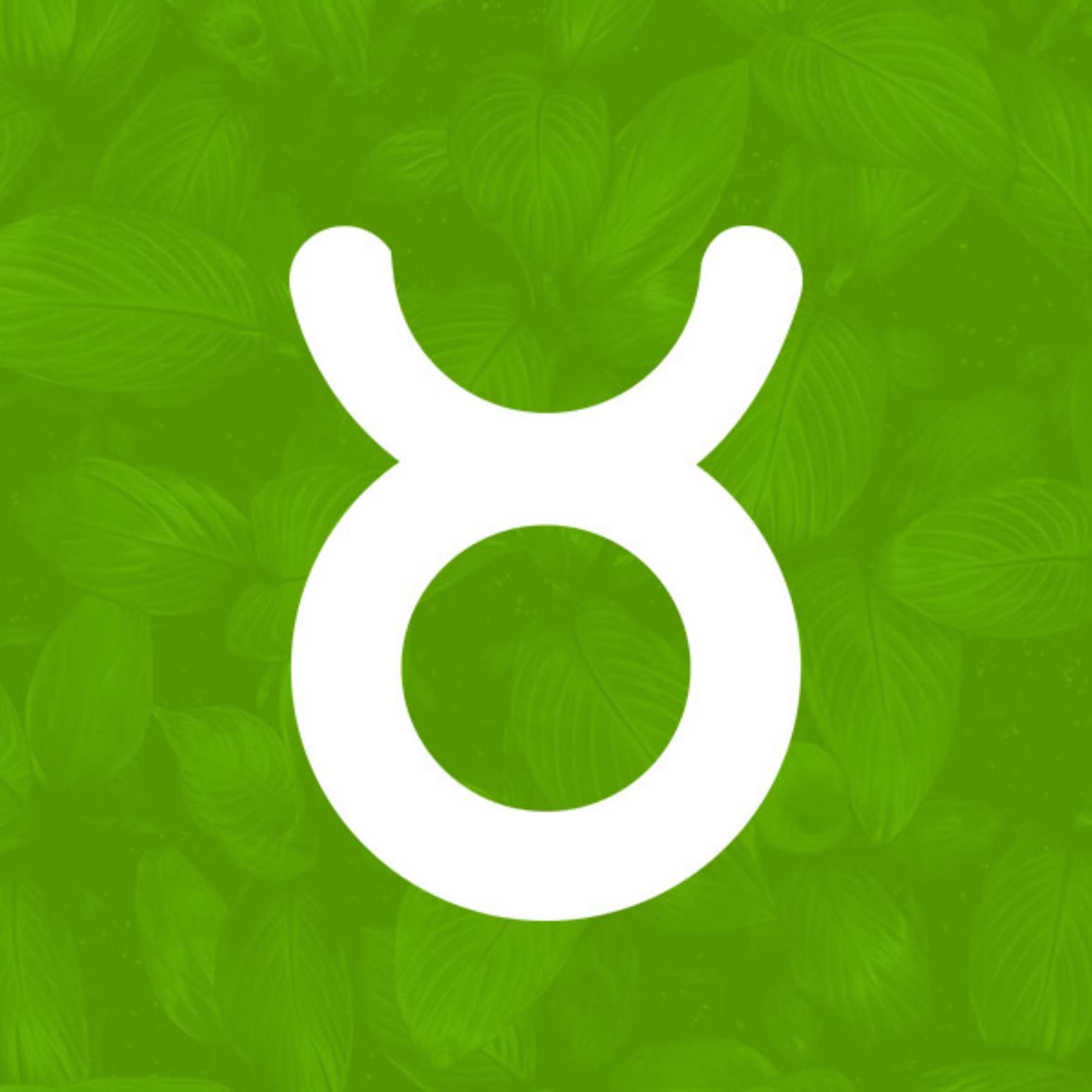 Mês de Touro: chegamos ao período de maior estabilidade do ano