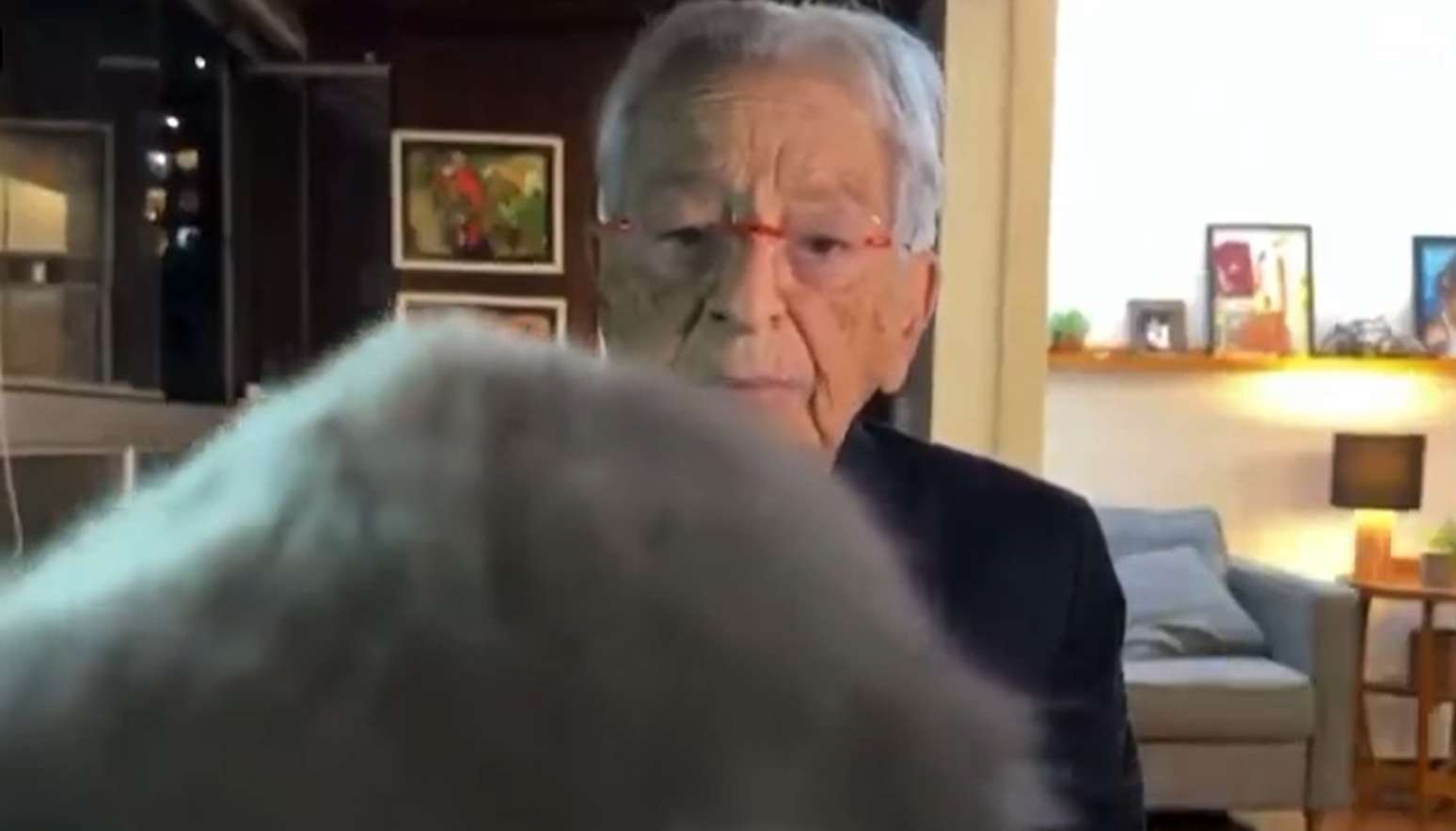 Gato de Fernando Gabeira rouba a cena durante ao vivo na GloboNews