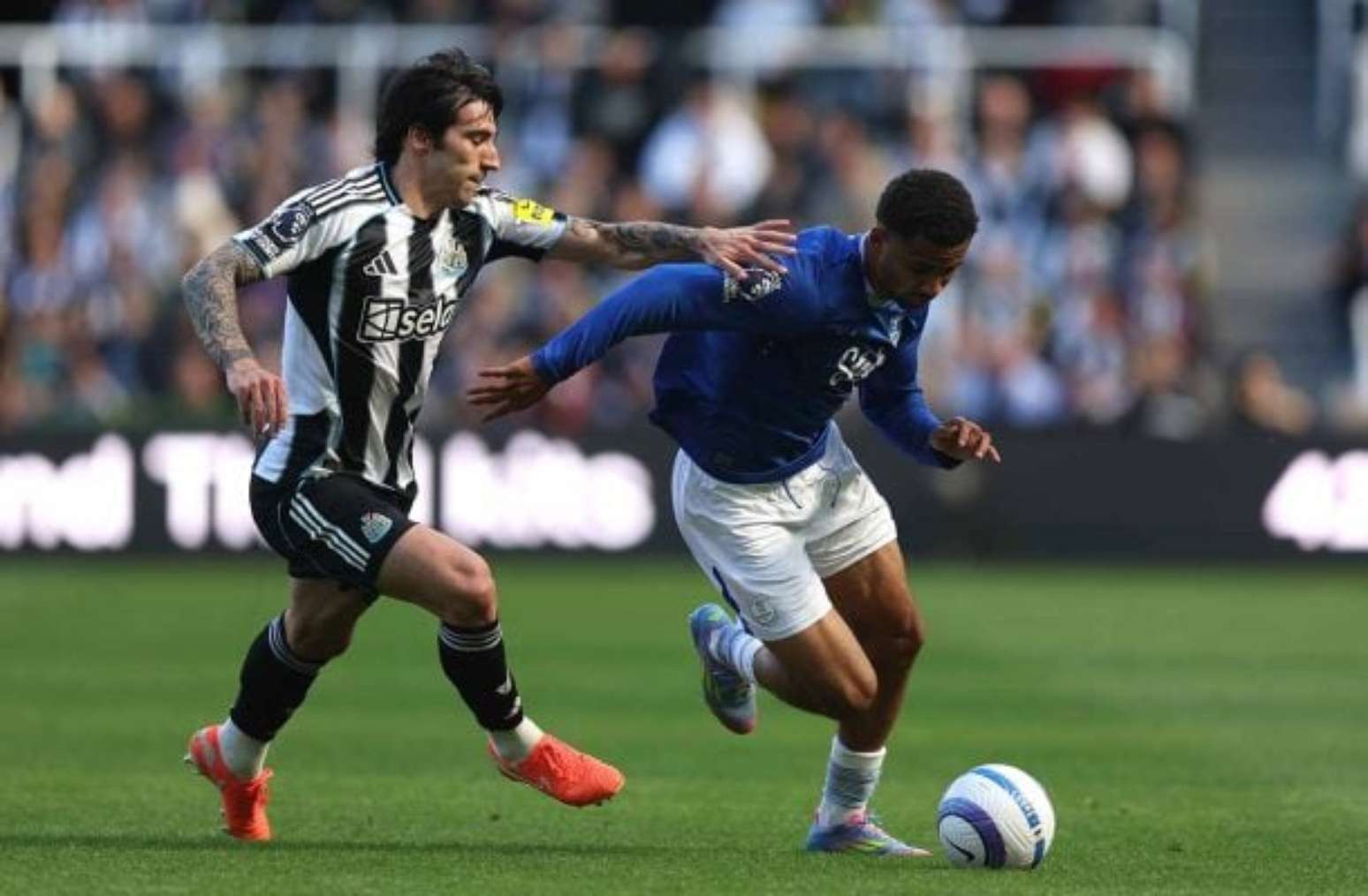 Newcastle perde para o Everton, mas garante vaga na Champions