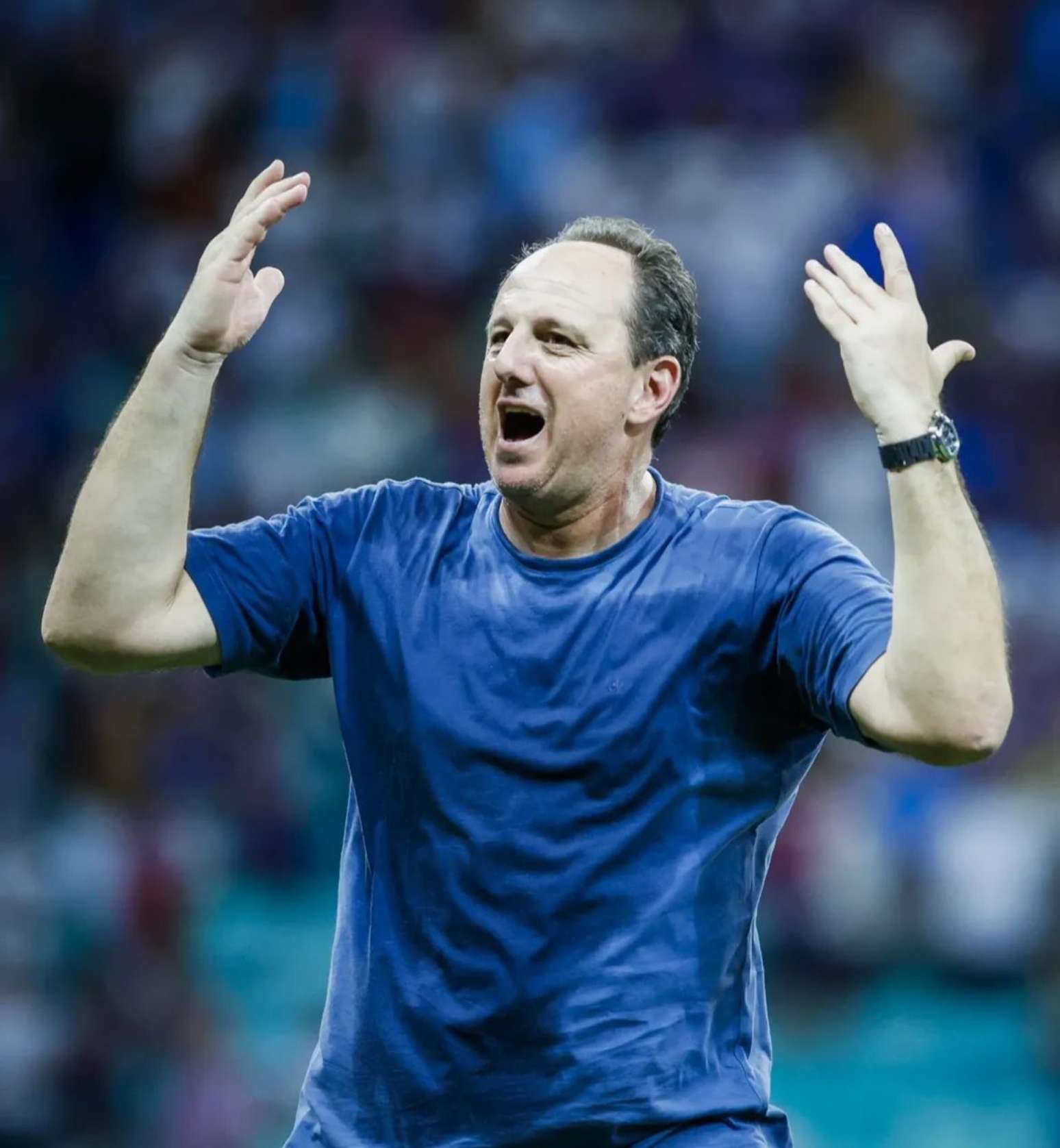 Rogério Ceni e Bahia: História, Conquistas e Planejamento de Sucesso