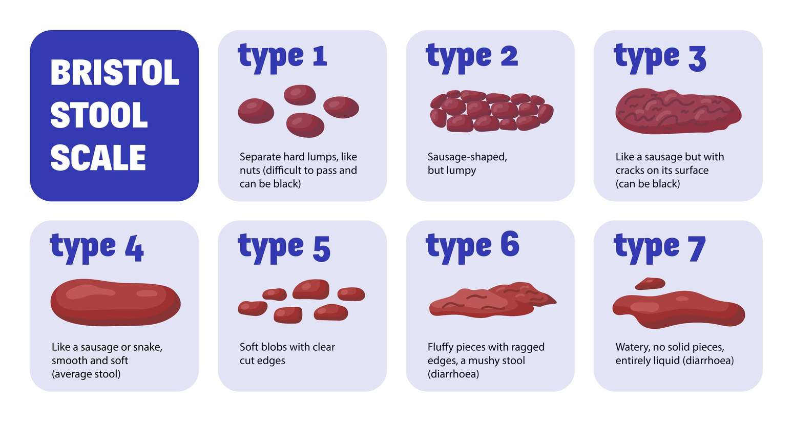 Entenda os formatos de cocô e quais alertas eles podem gerar sobre sua ...