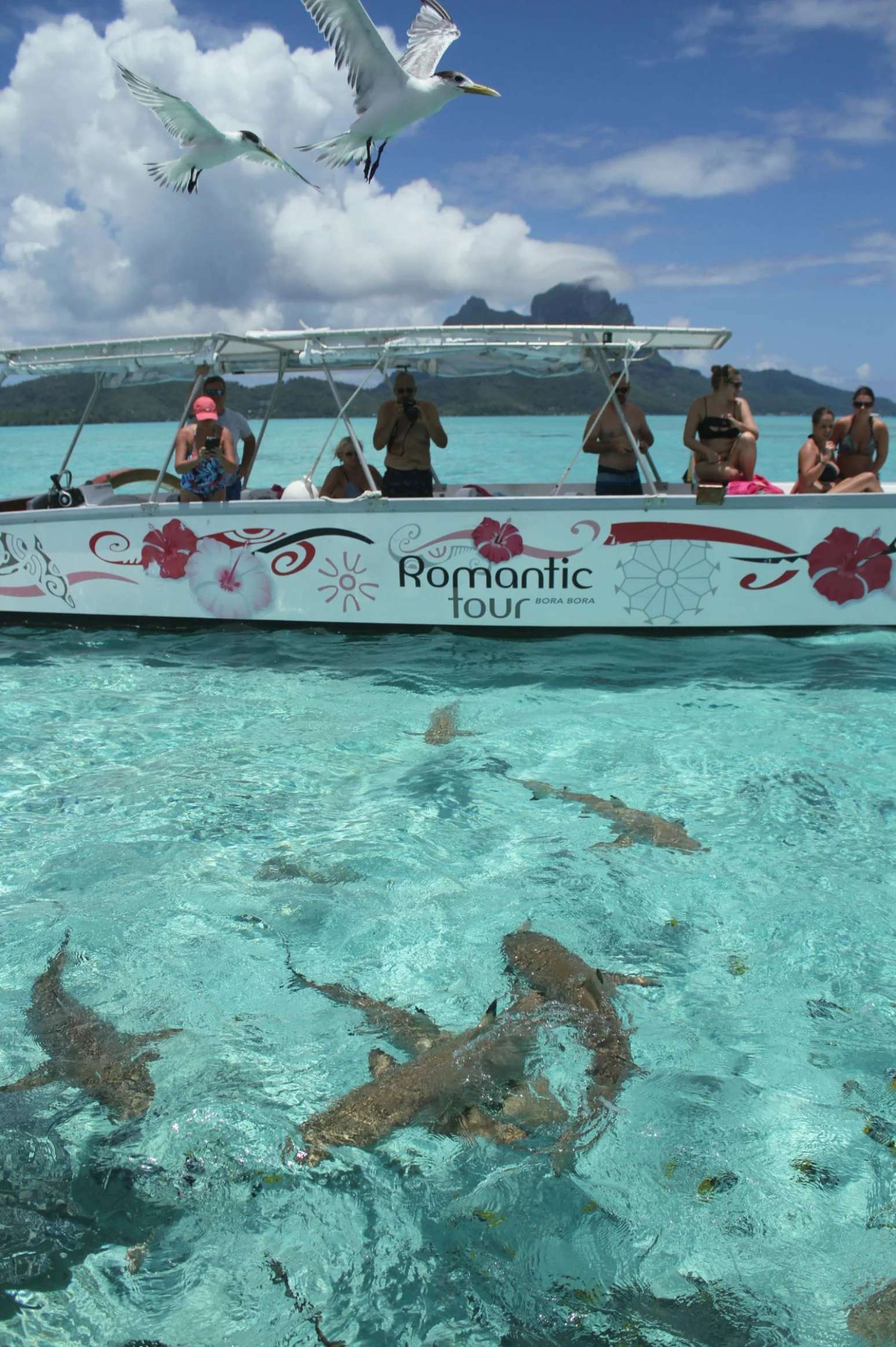 Bora Bora é o paraíso das águas, na Polinésia Francesa