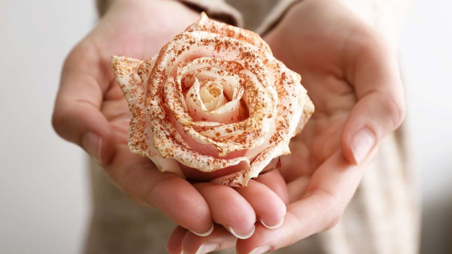 Brasil sedia um dos principais encontros mundiais sobre câncer ...