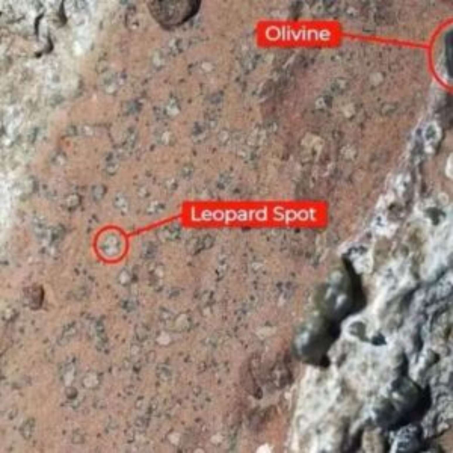 NASA encontra indícios de vida em Marte; saiba mais