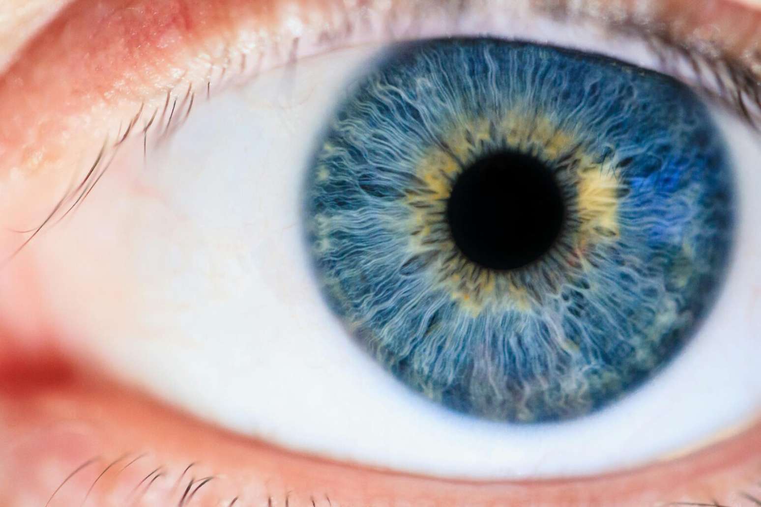 Os olhos azuis não possuem pigmento azul; então, por que os vemos dessa ...