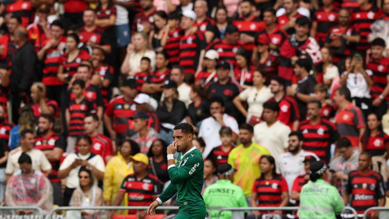 Vitor Roque vive melhor fase pelo Palmeiras e tenta ampliar sequência ...