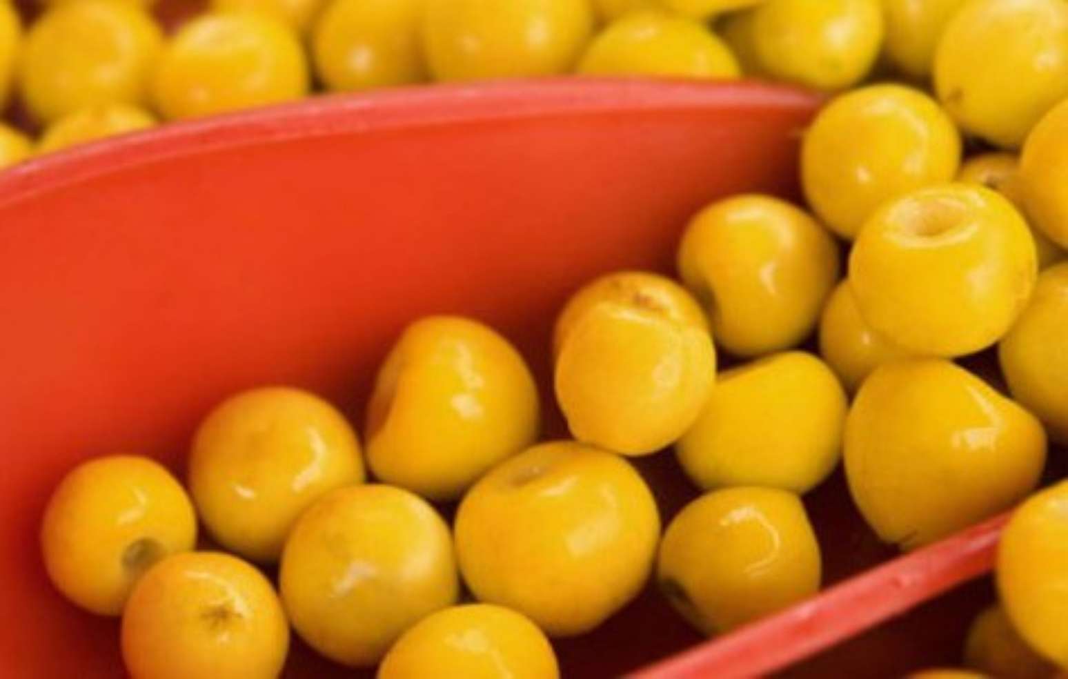 Você conhece o nanche? 6 motivos para incluir o fruto na sua dieta