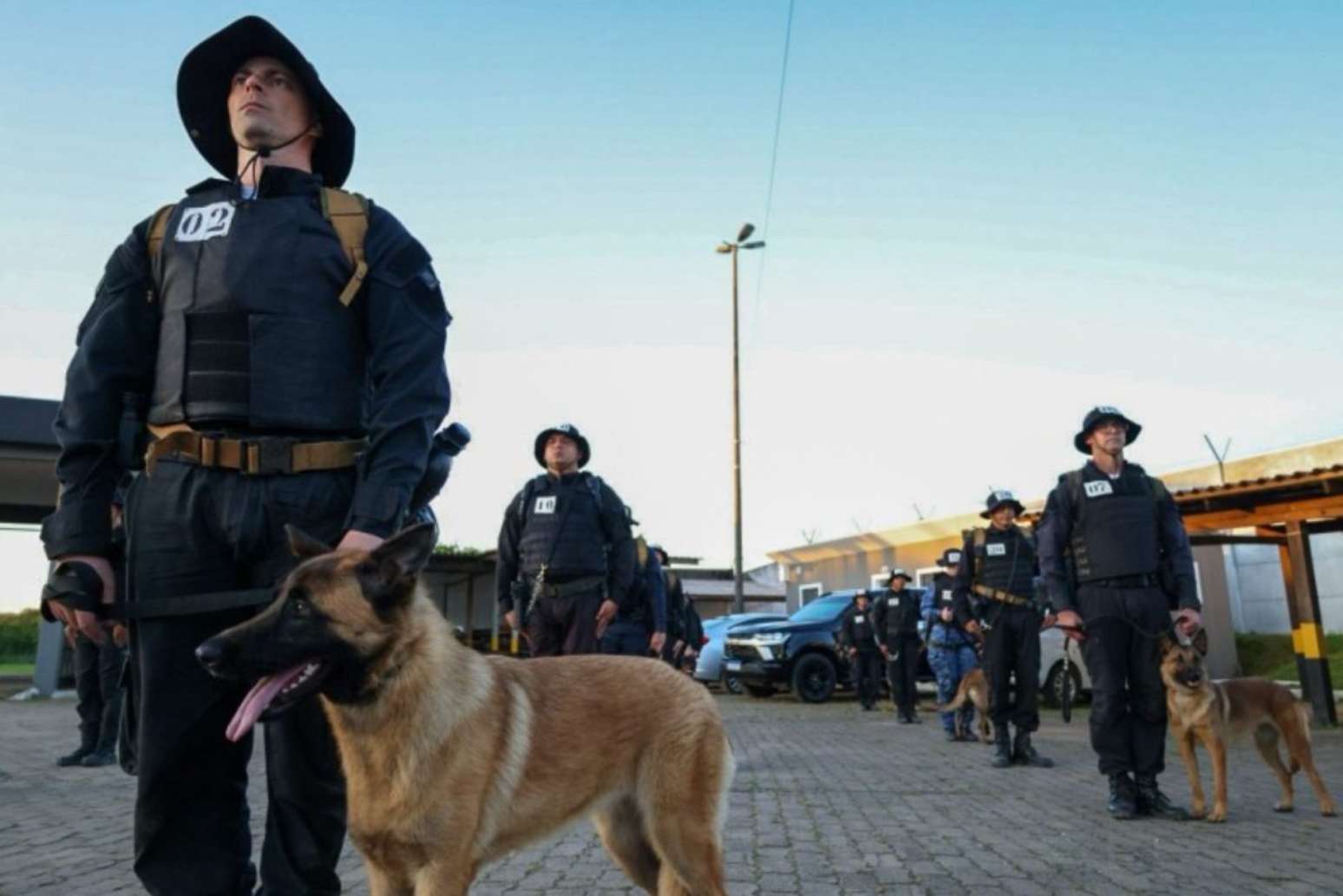 Treinamento com cães reforça segurança em presídios gaúchos