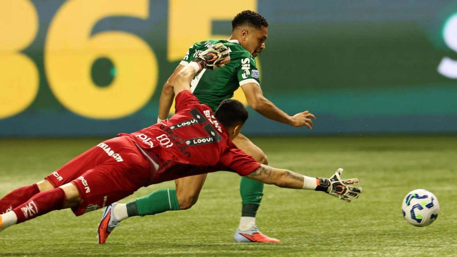 Vitor Roque exalta momento do Palmeiras: "Uma das melhores fase da ...