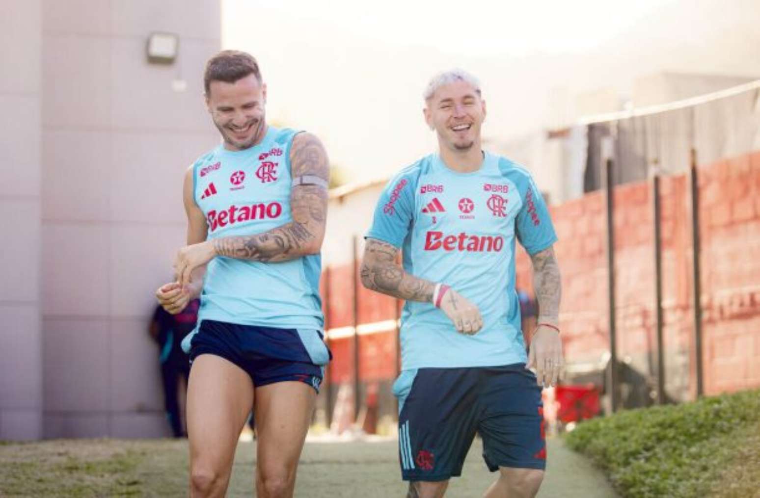 روايات واتباد جنسية