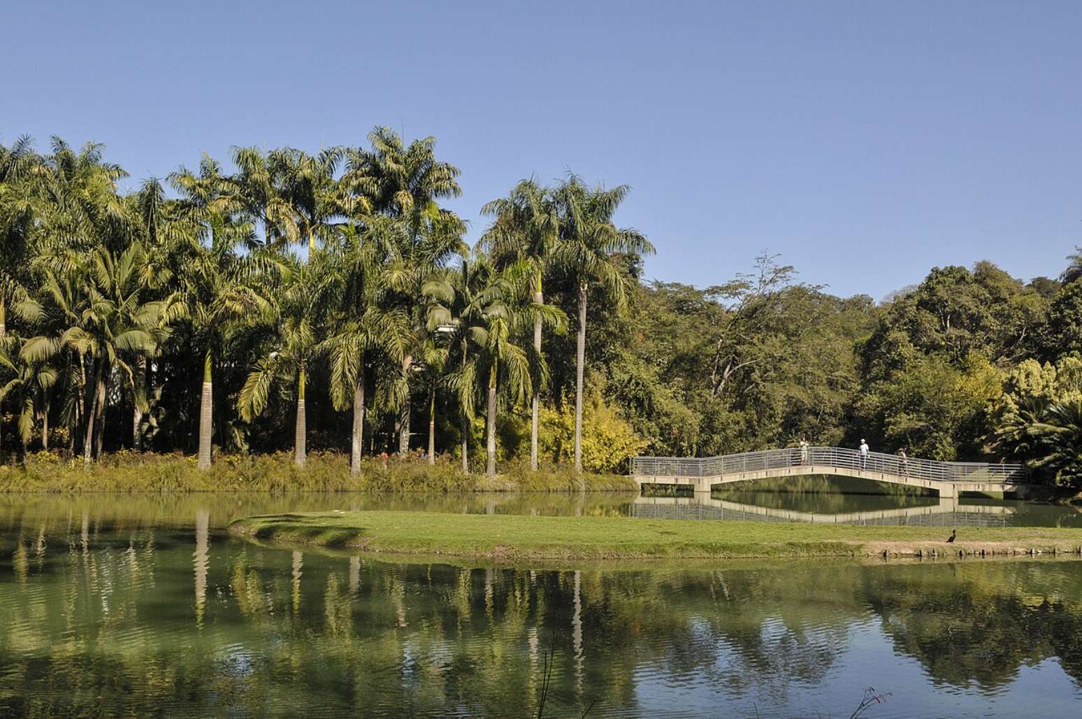 Inhotim: arte, natureza e imersão cultural no maior museu a céu aberto ...