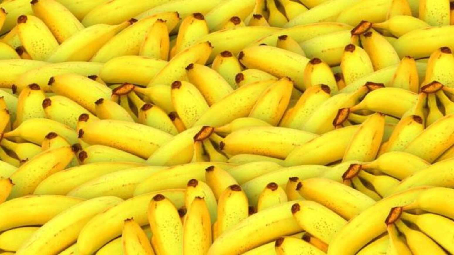 Fã de bananas, Rússia investe na produção local da fruta, apesar do ...