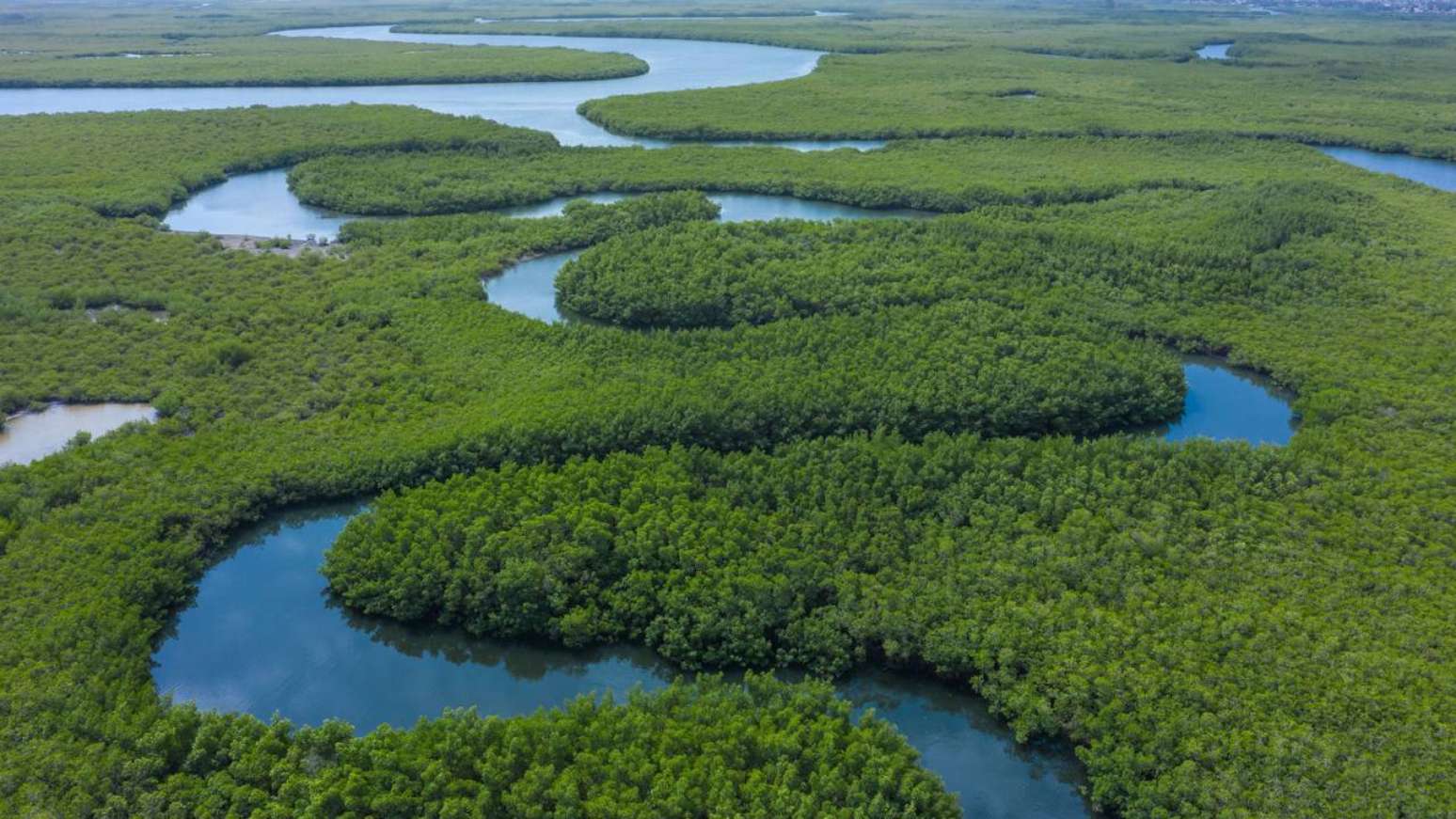 Enclave do Rio Gâmbia: quando a história criou um país à parte