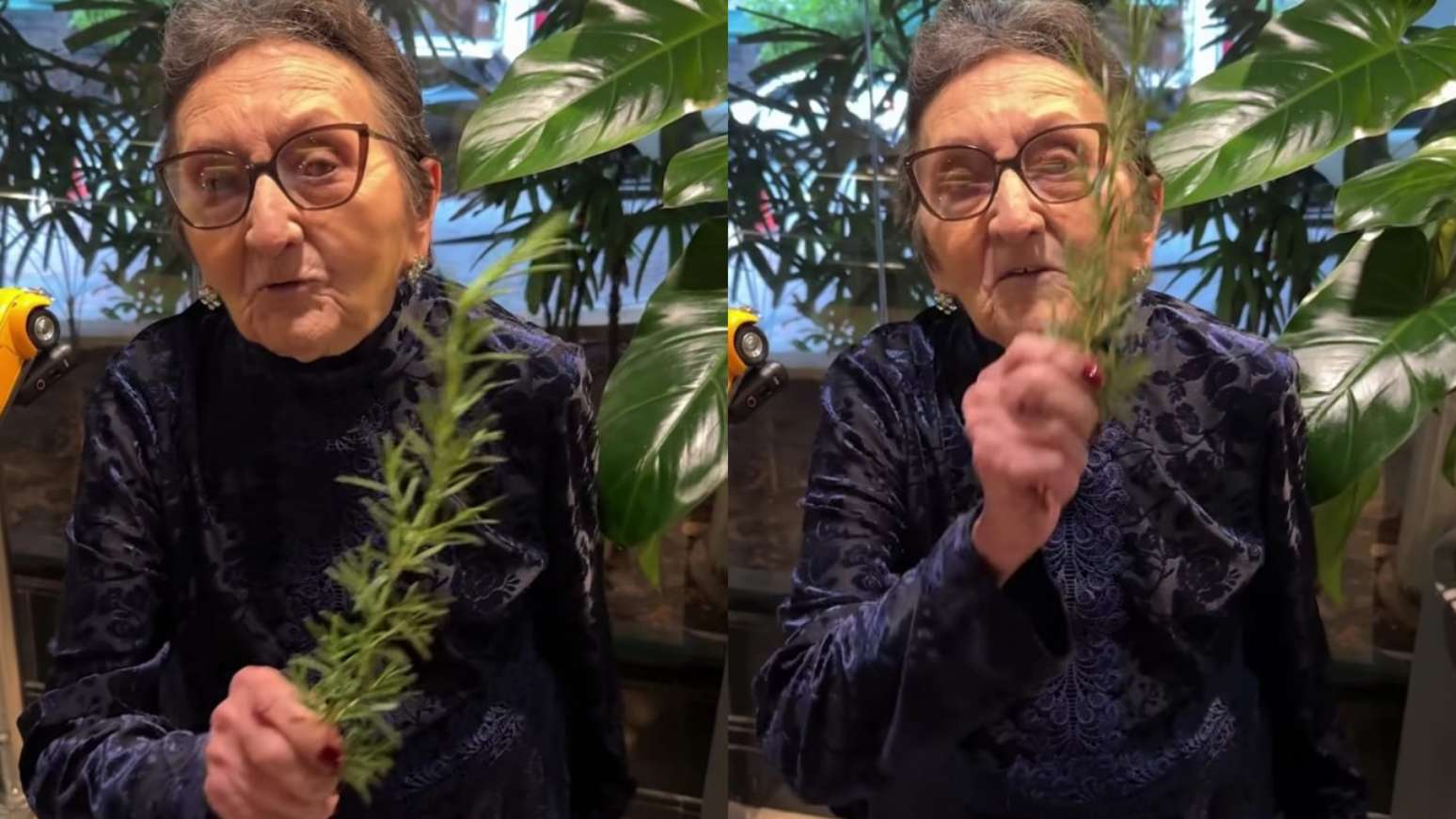 Tânia Maria aposta em simpatia para 'O Agente Secreto' ser indicado ao ...