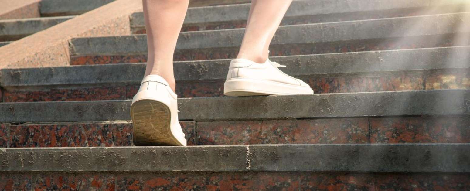 Subir escadas substitui cardio?