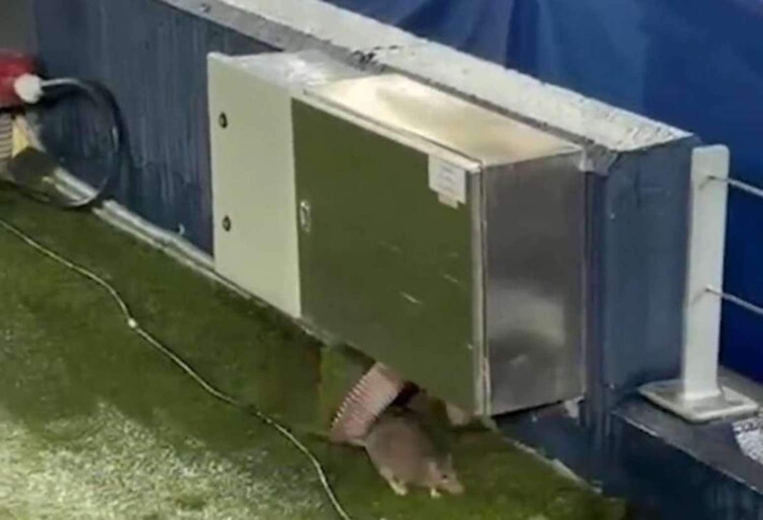 TV flagra rato à beira do gramado no estádio do Barcelona; veja vídeo