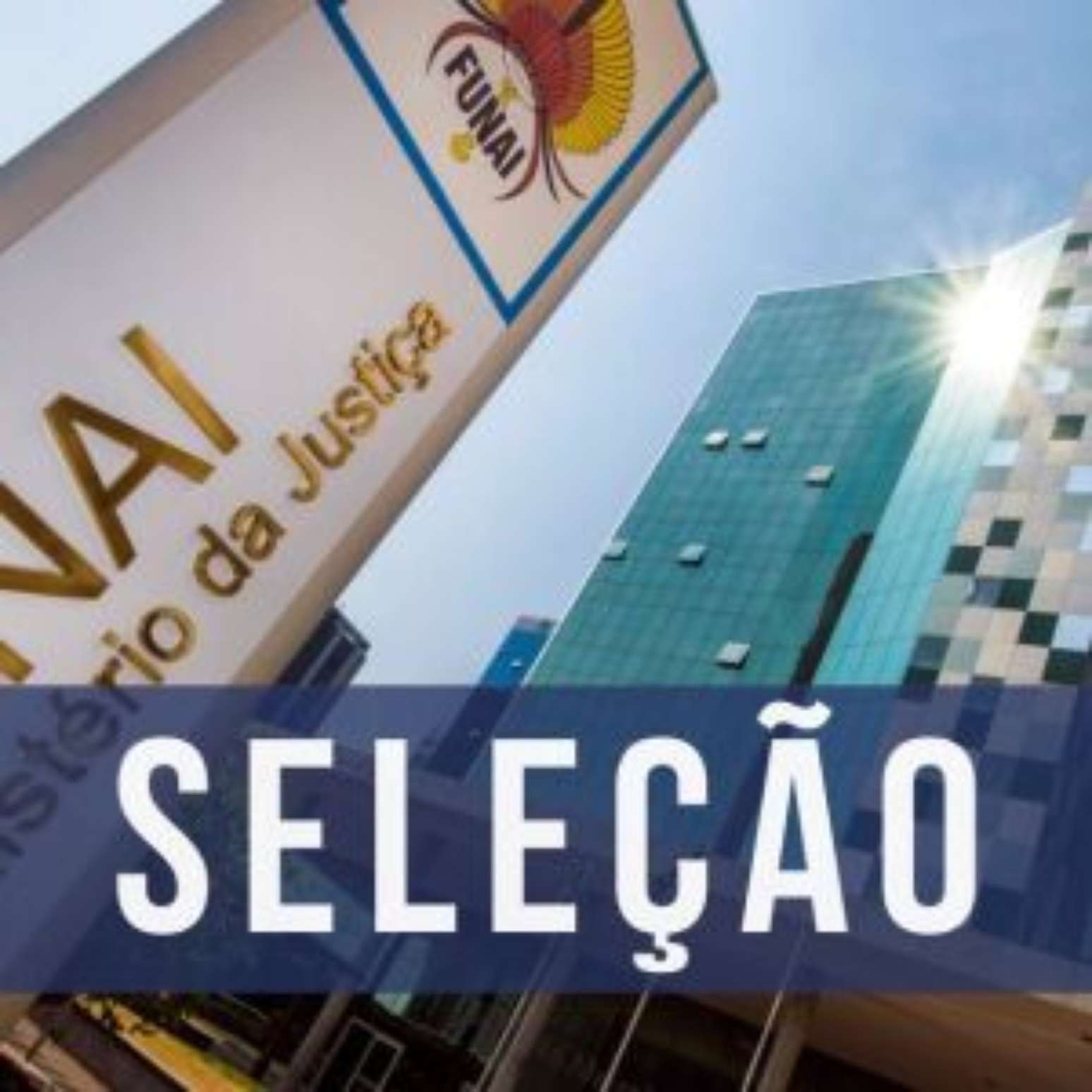 FUNAI abre seleção para estágio com 267 vagas e bolsas de até R$ 1.508 ...