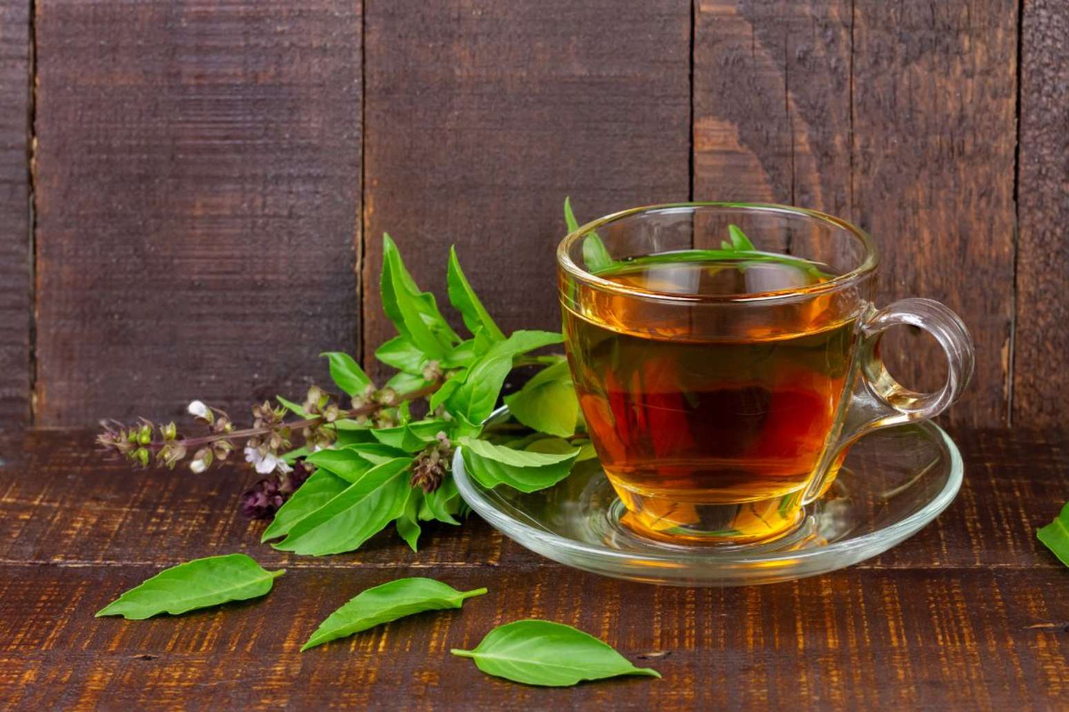 Chá de manjericão: os benefícios da bebida aromática que vai além do sabor
