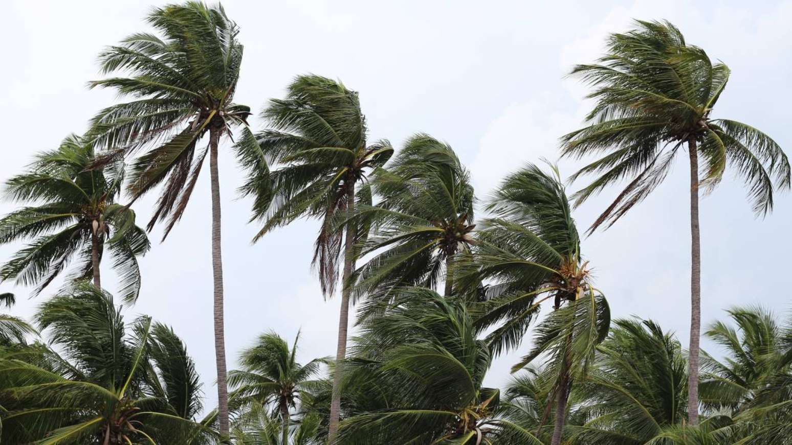 Furacão ou ciclone? Veja como essas grandes tempestades são ...