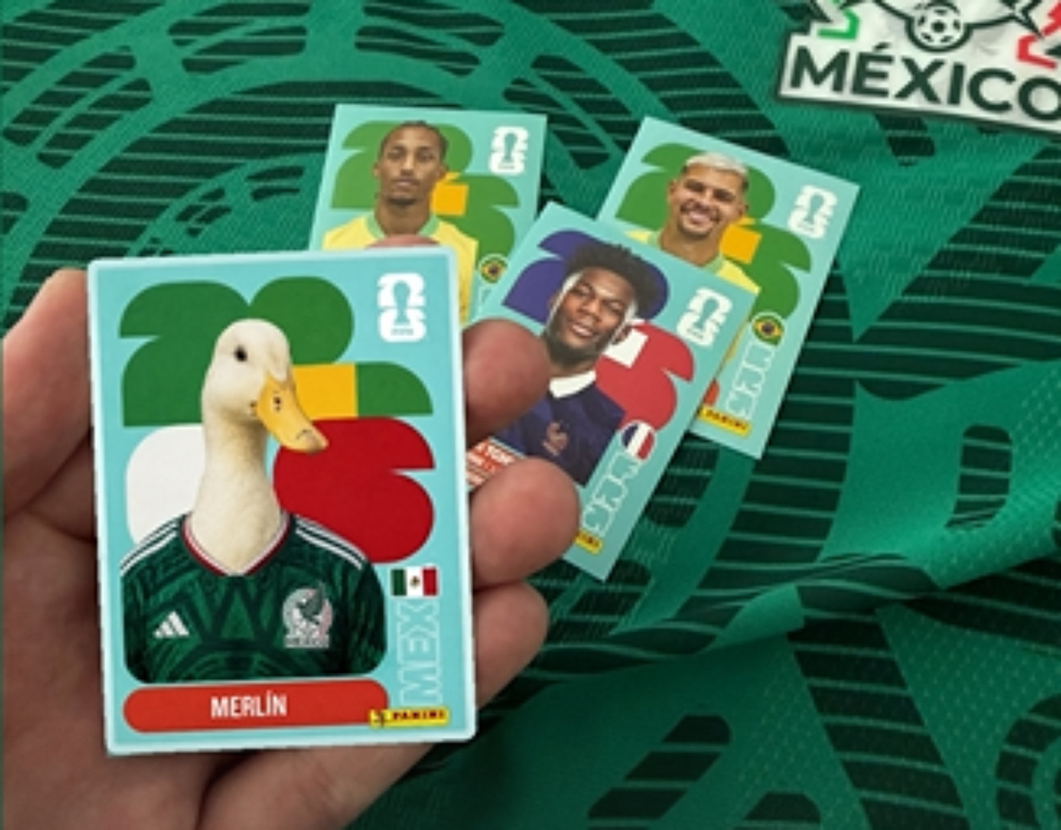 Conheça Merlin, o pato que viralizou após ser visto usando a camiseta ...