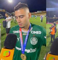 Fifa concede aval para novo gramado e Palmeiras voltará a mandar jogos ...