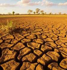 El Niño pode provocar seca severa e calor extremo no Nordeste no 2º ...