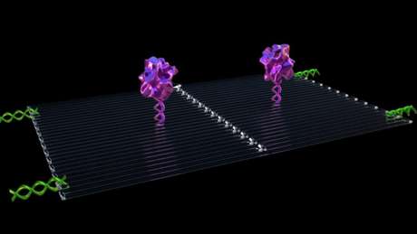 Cientistas desenvolvem nanorrobôs capazes de reduzir tumores e combater ...