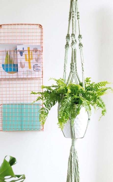 Samambaia: +63 Ideias de Decoração para Sua Casa