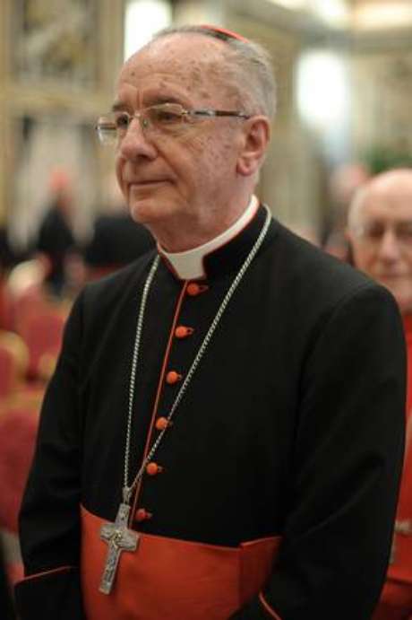 Cardeal admite 'resistências' contra Sínodo da Amazônia